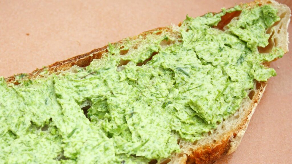 Svampmacka med smak av hav - Feeders