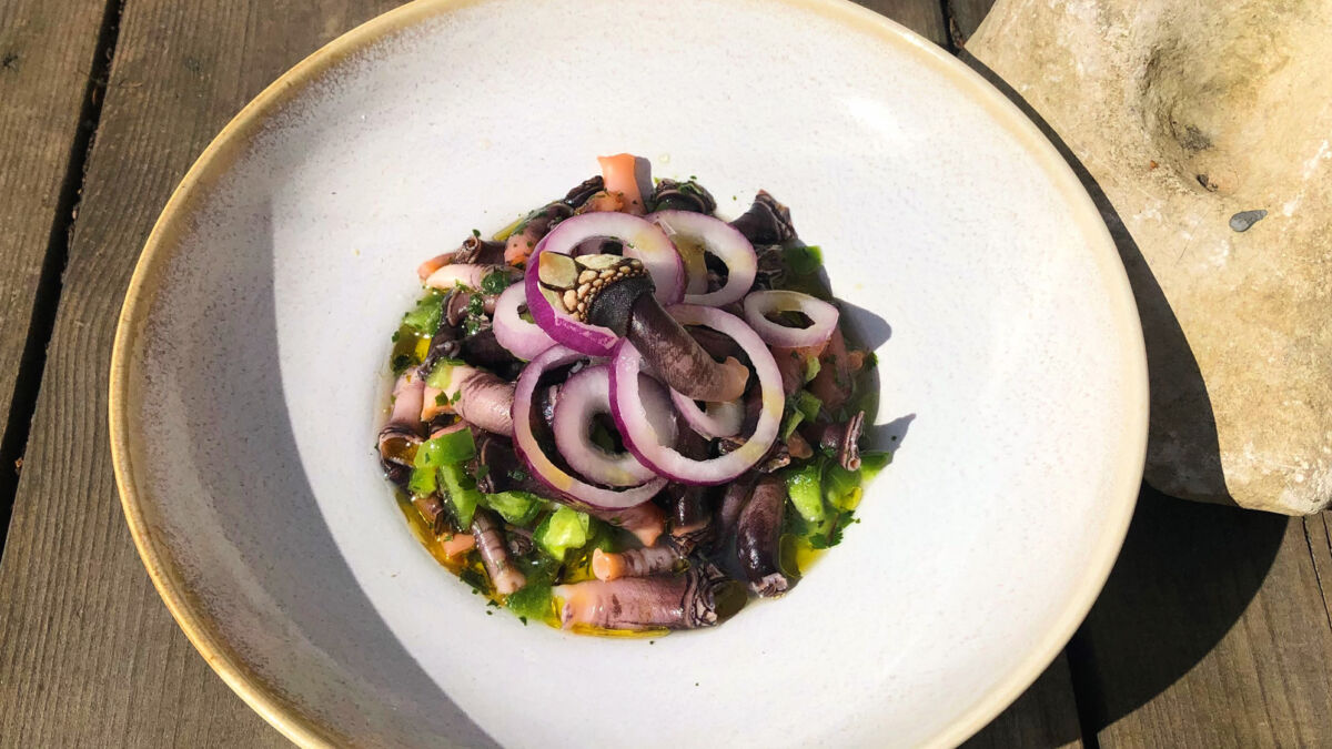 Ceviche på långhalsar - Feeders